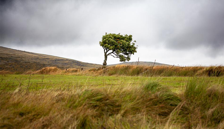 Ensuring the availability and affordability of insurance in light of ...