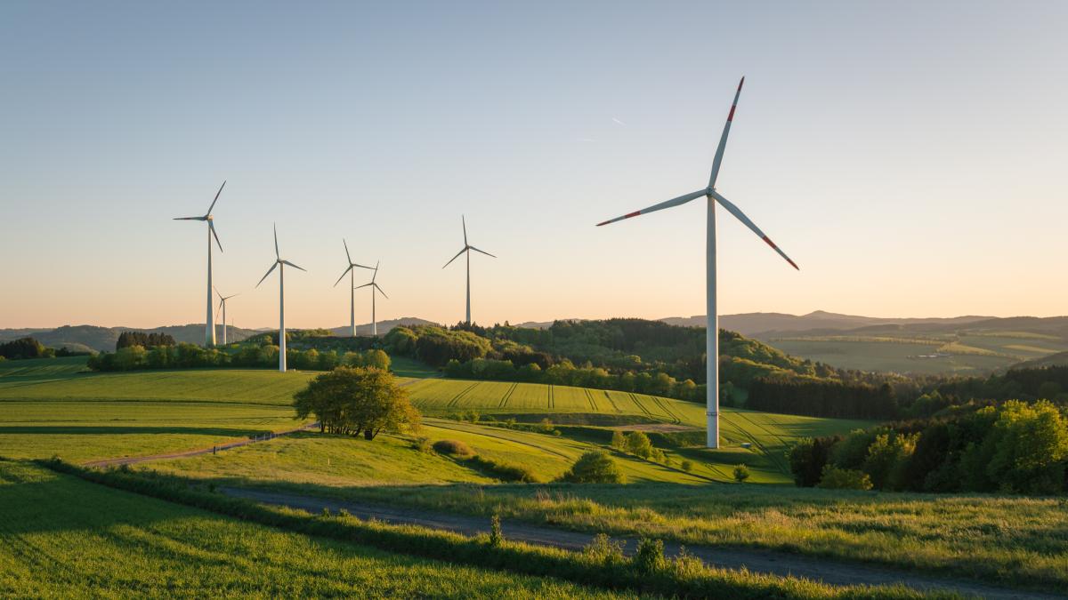 EIOPA factsheet shows increasing share of green investments in EU ...